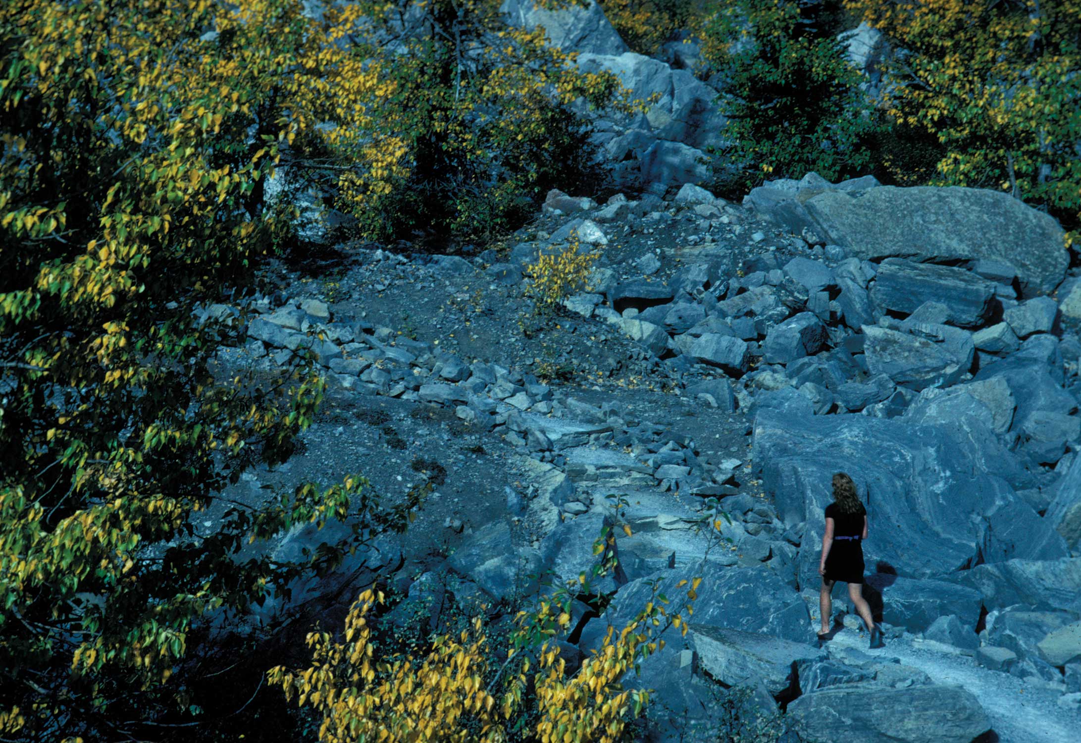 Tour de Frank 2019 | Frank Slide Interpretative Centre